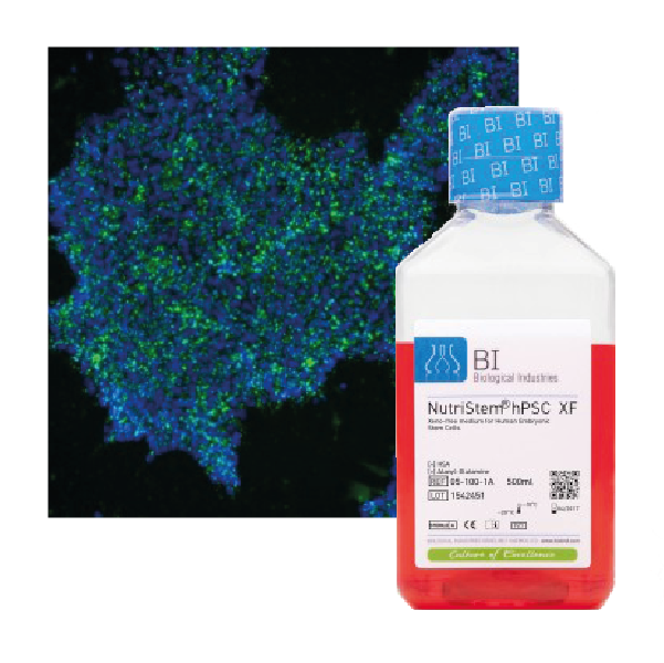 Research Stem Cell Services