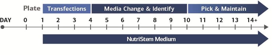 00-0076 - StemRNA™ 3rd Gen Reprogramming Kit