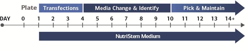 00-0076 - StemRNA™ 3rd Gen Reprogramming Kit