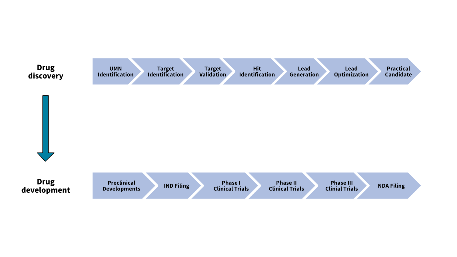 Redefining Success in IBD Drug Discovery with Human Tissue Models