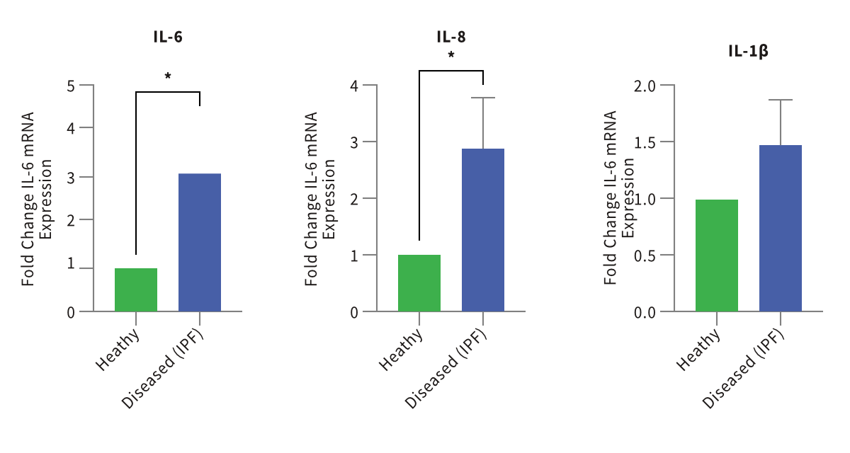 Bioengineered 3D Human Tissue Models & Cell Culture Solutions