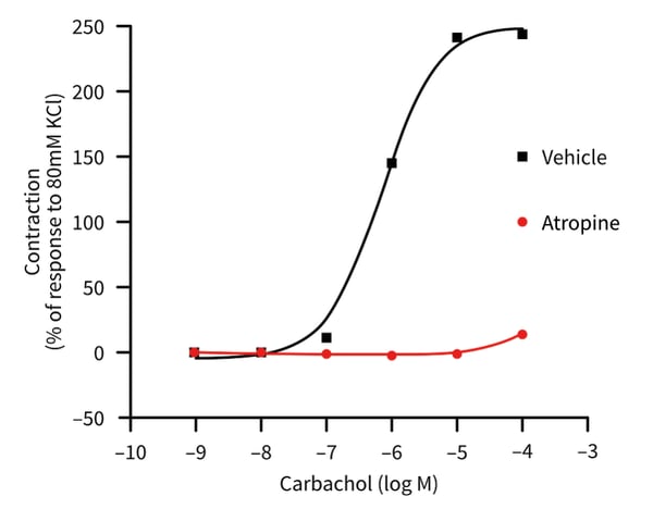 Contraction In Human Bladder Muscarinic Receptors Carbachol