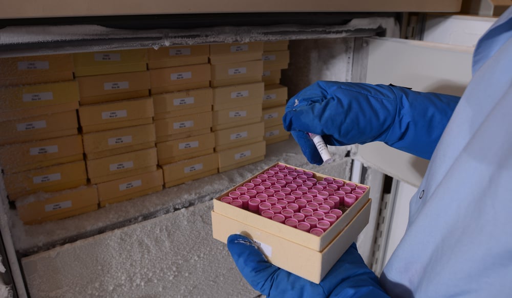 REPROCELL Brand: Bioserve