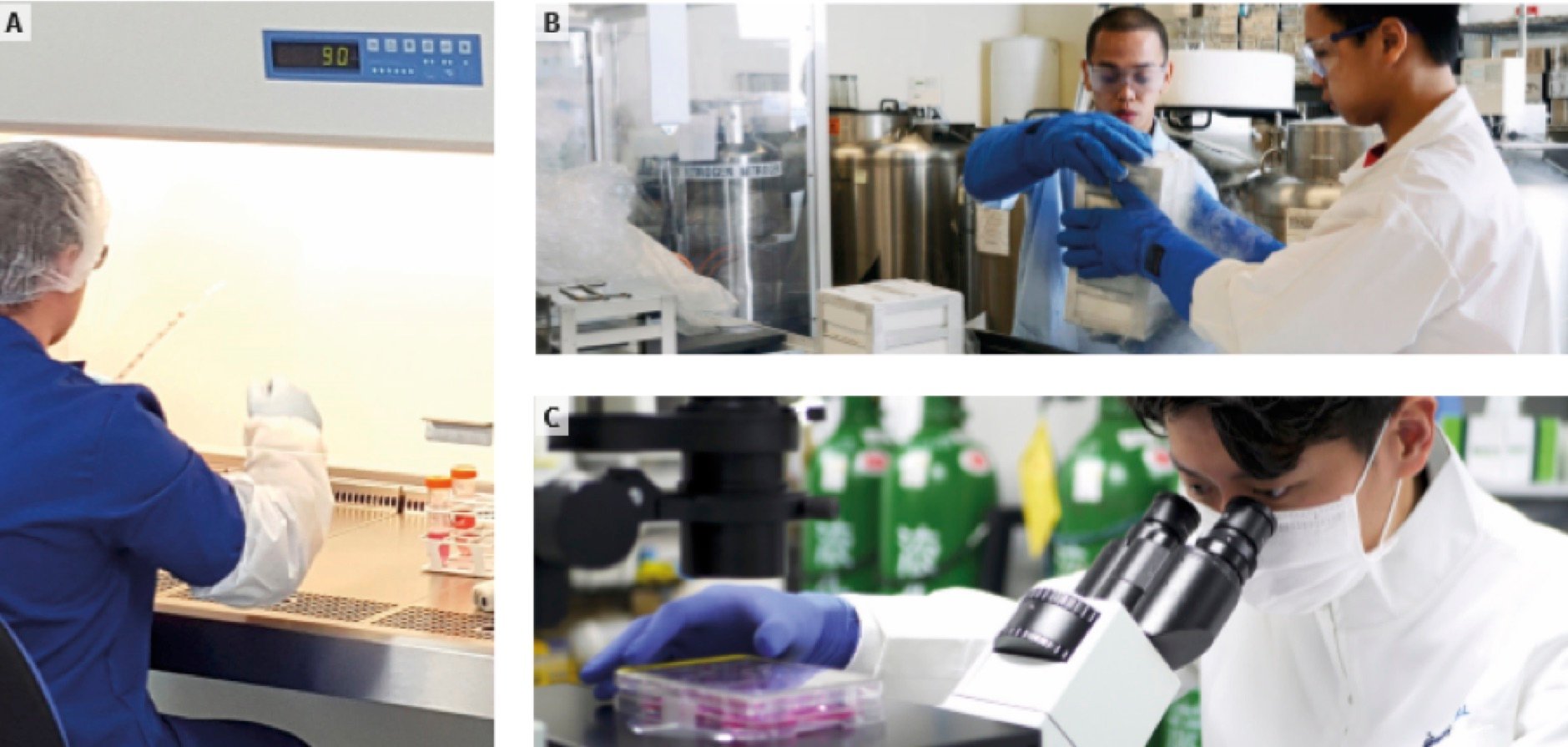 Five reasons to choose StemRNA 3rd Gen Reprogramming Technology