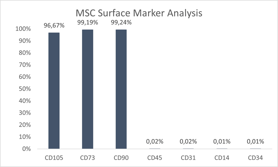 CC-BM-hMSC-1/CC-BM-hMSC-10 - Human Bone Marrow MSCs