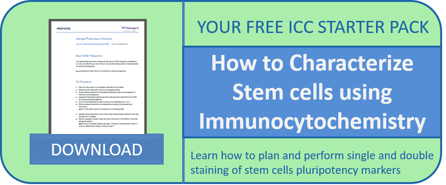 Protocol for immunocytochemistry of stem cells