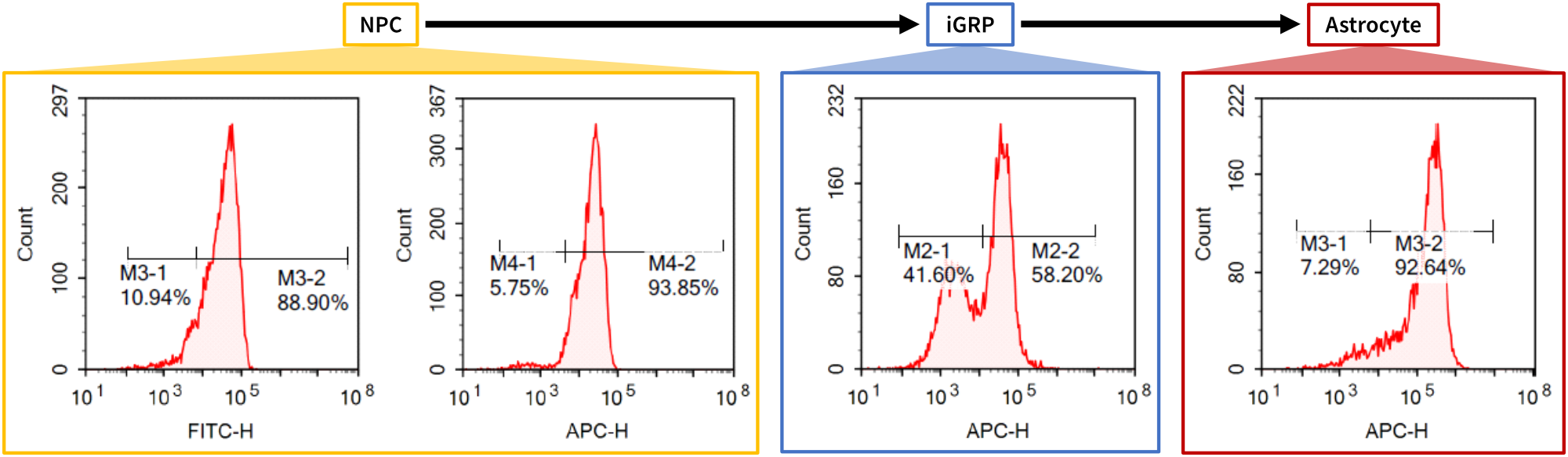 GMP iPSC Production Service: Clinical-grade Human iPSCs and GMP MCBs