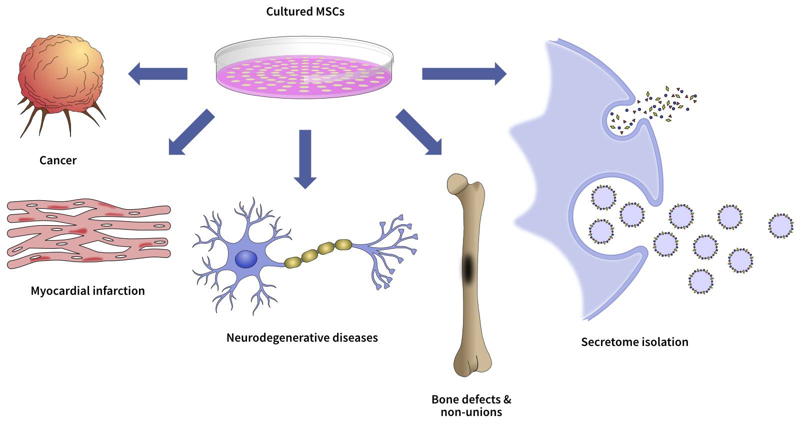 Products for MSC Research
