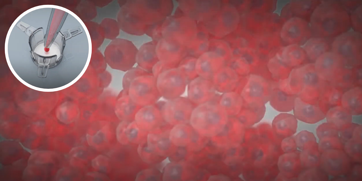 Bioengineered 3D Human Tissue Models & Cell Culture Solutions