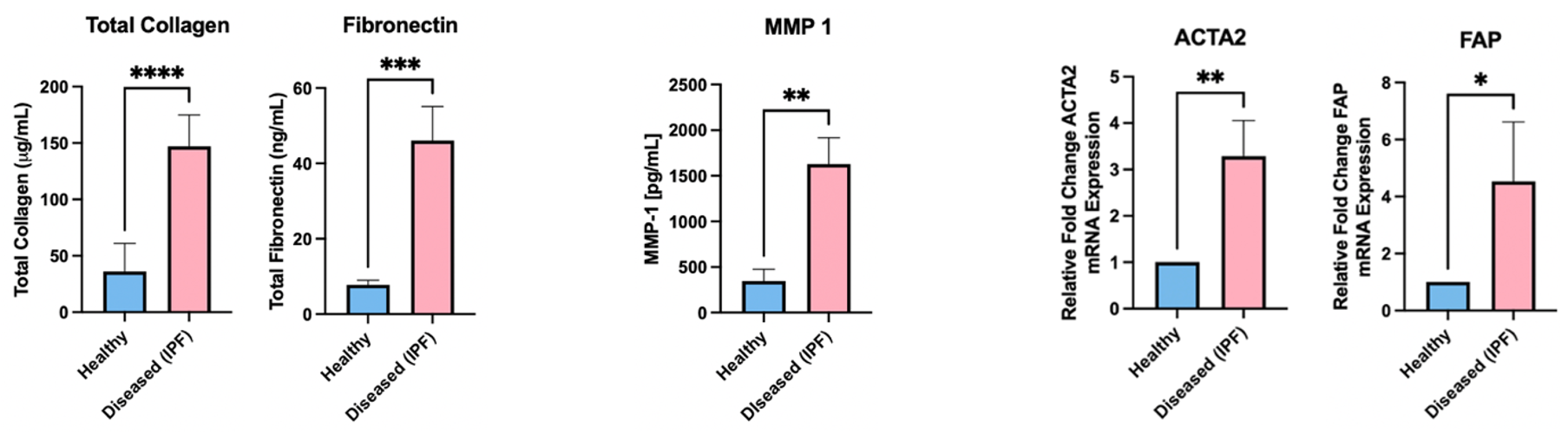 3D Bioengineered model of idiopathic pulmonary fibrosis (IPF)
