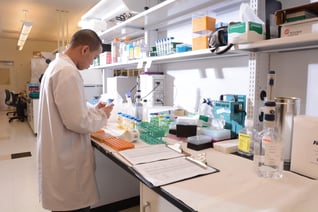 Three-Dimensional Culture of HaCaT Keratinocytes Using Alvetex Scaffold