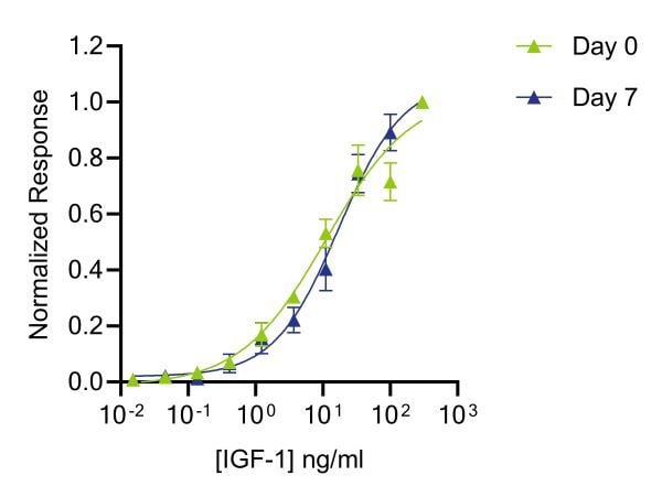 QK047 - Recombinant human IGF-1 protein