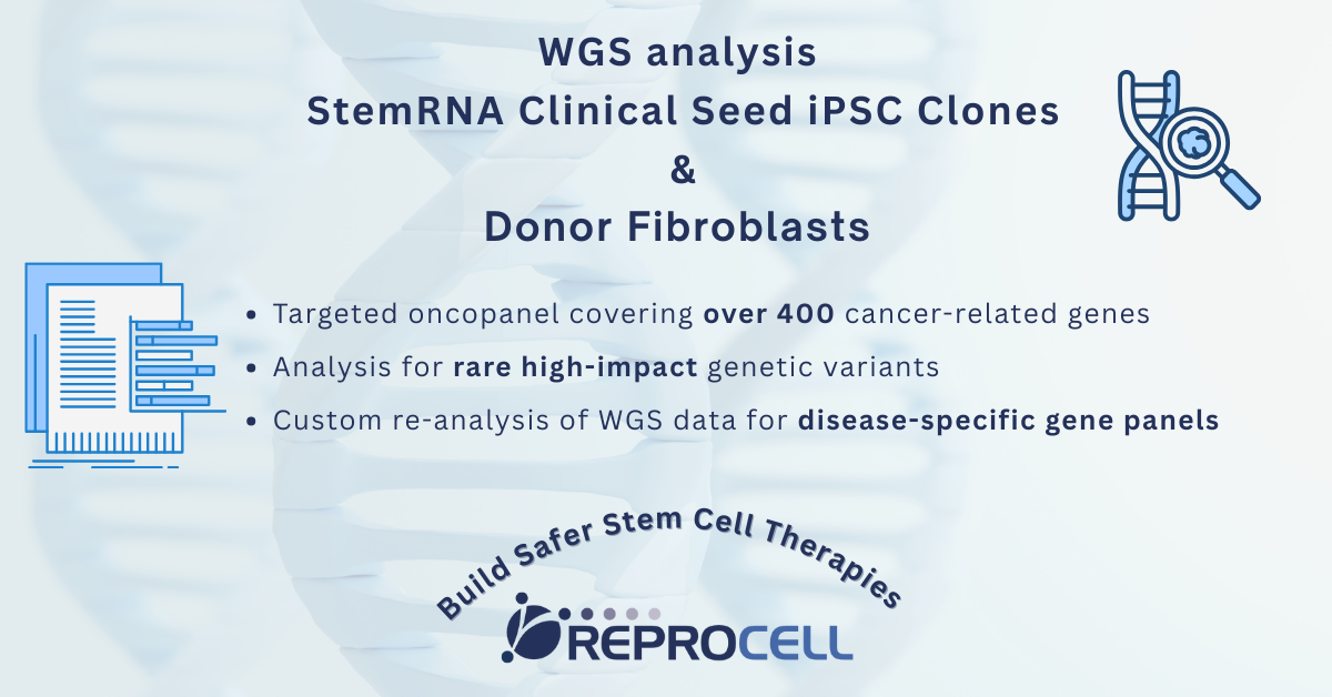 Why Early Genetic Variant Detection in iPSC Cultures Is Critical for ...