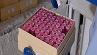Global Biorepository of Human Tissue Samples