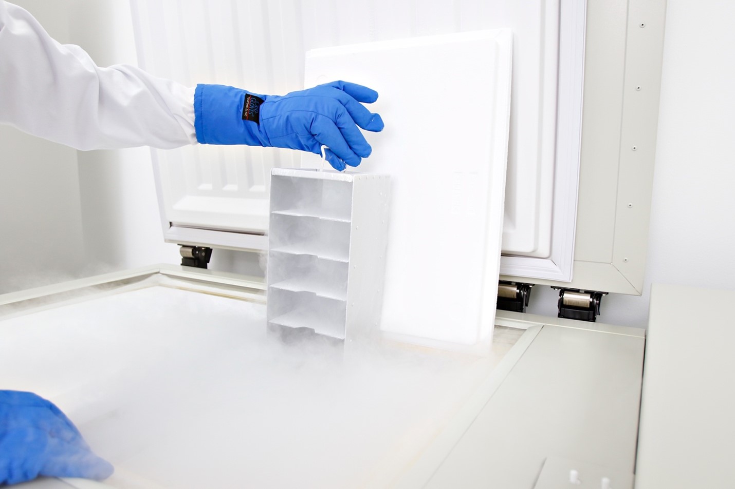 REPROCELL: What makes our human tissue biorepository stand out?