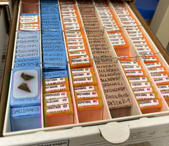 Global Biorepository of Human Tissue Samples