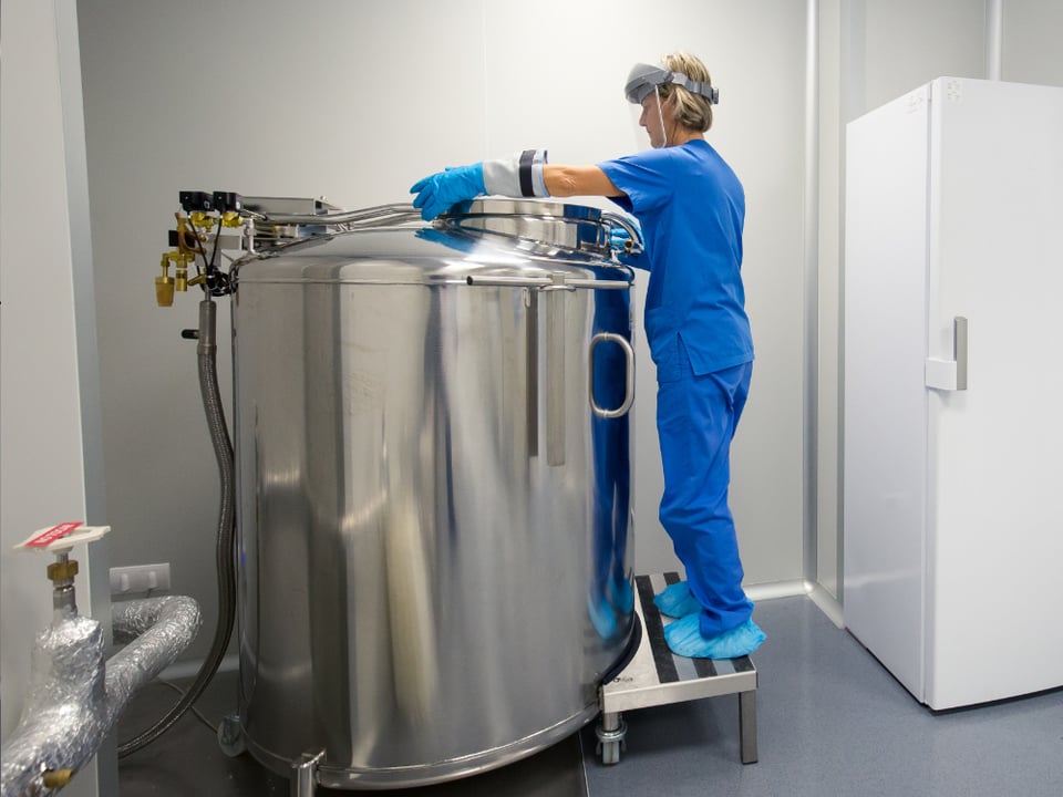 MCB Generation Services for iMSCs and MSCs: GMP and Clinical Grade