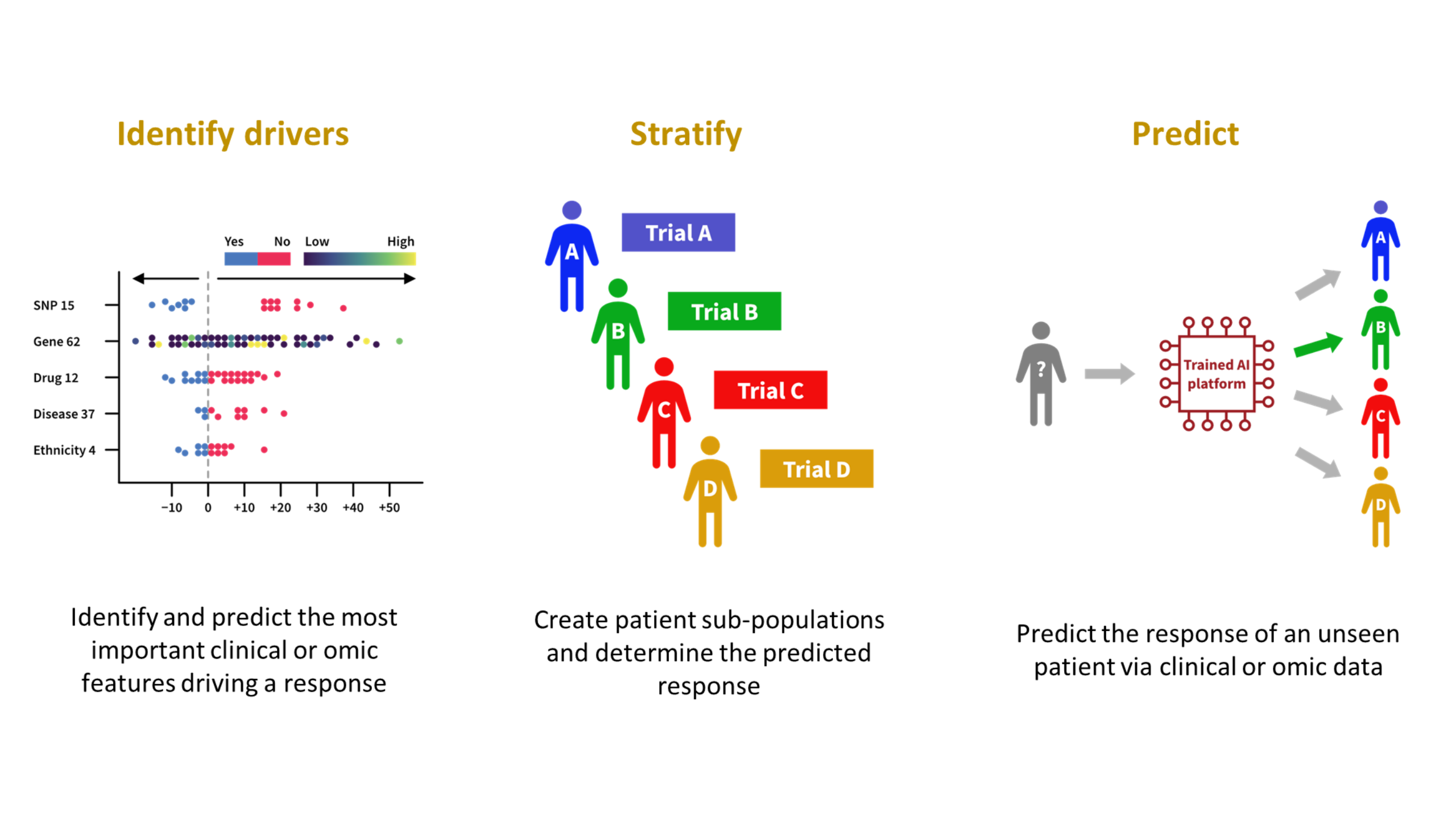AI in Drug Discovery: The Role of SHAP in Pharmacology