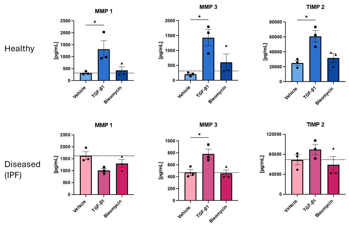 Bioengineered 3D Human IPF Models & Cell Culture Solutions