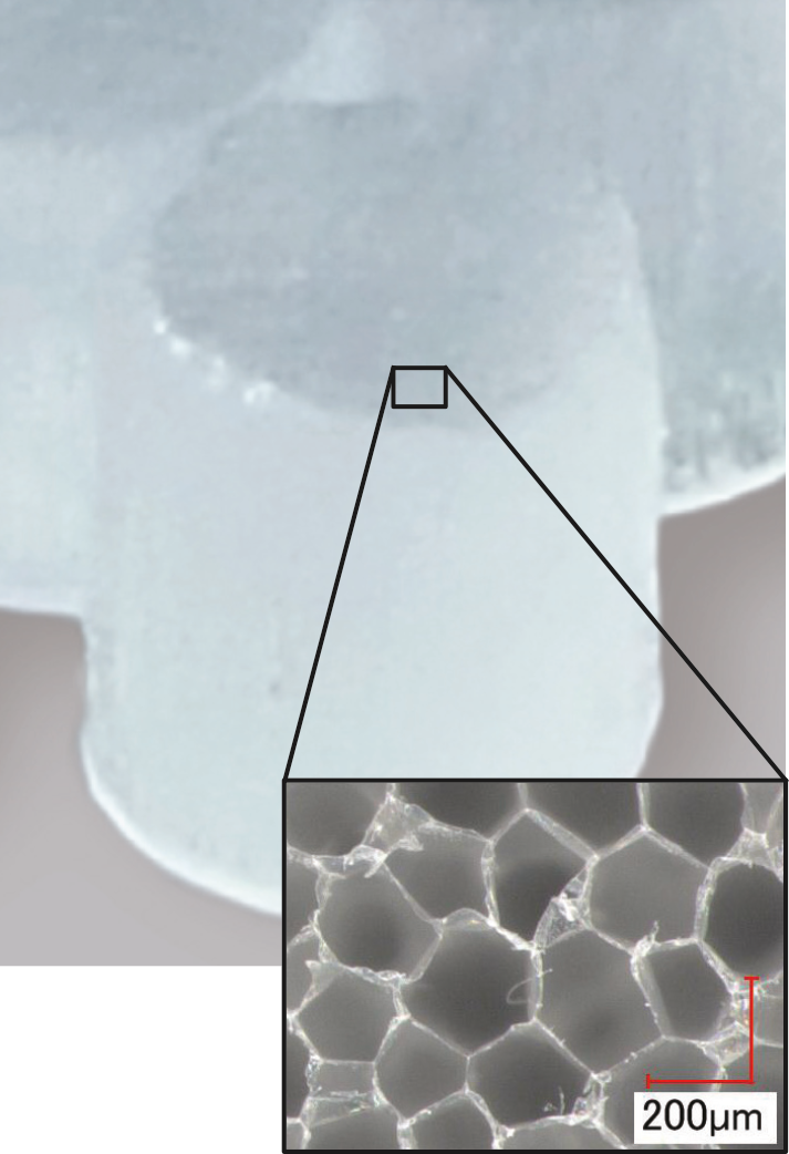 KKN-3D-HCB - Atelocollagen 3D Honeycomb Boosted