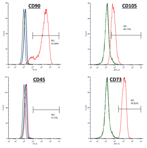 RCRP026 - Repro MSC4 SK004 iPSC derived MSCs, Phenol Red-free