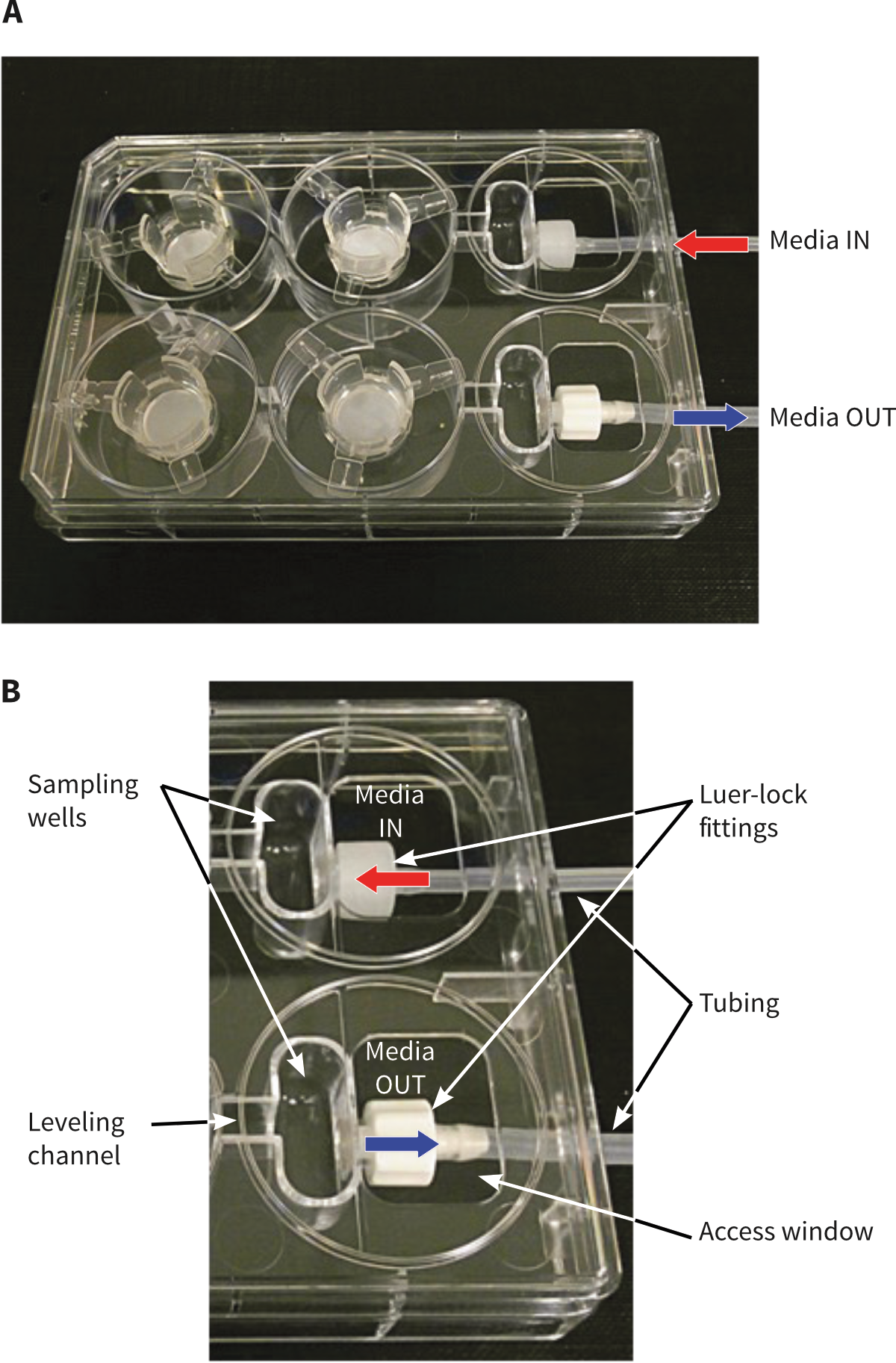 Alvetex Protocol: 3D Perfused Cell Culture – Alvetex Perfusion Plate ...