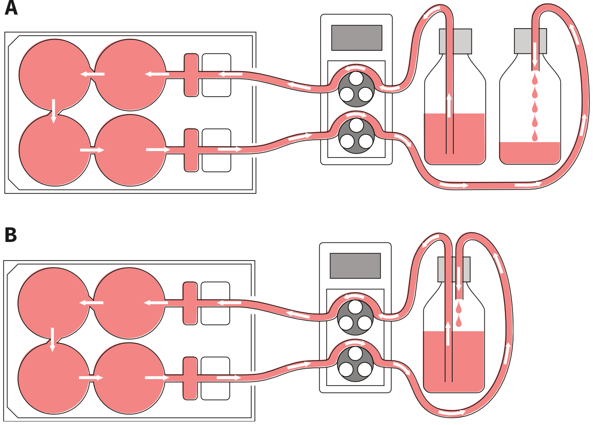 Alvetex Protocol: 3D Perfused Cell Culture – Alvetex Perfusion Plate ...
