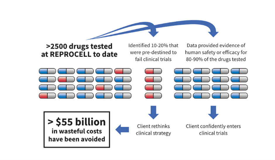 Leveraging Human Tissue Models with Preclinical and Drug Discovery CRO