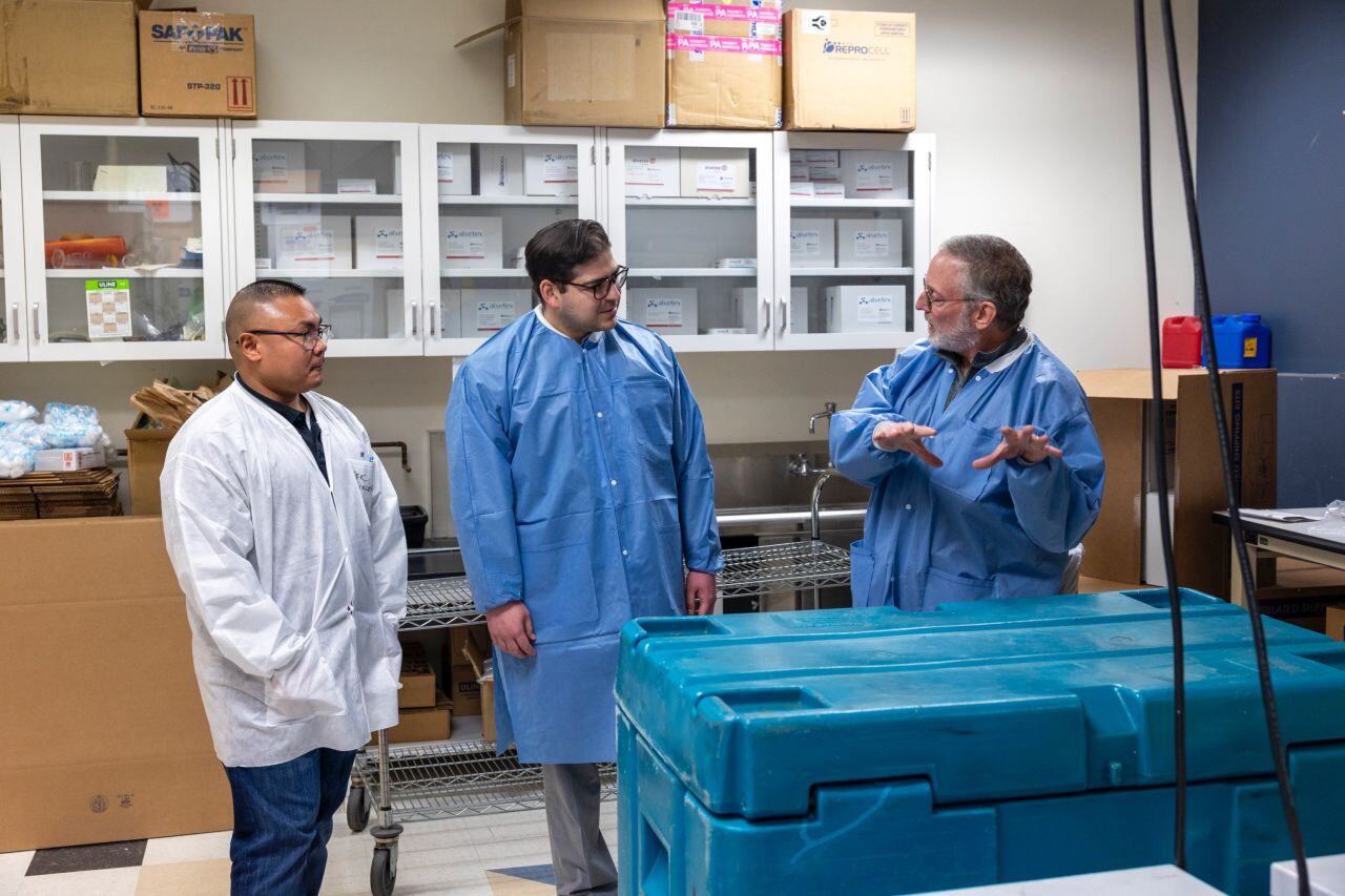 What you should know about the FDA’s Biological License Application Process