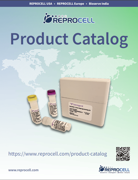 Product Catalog