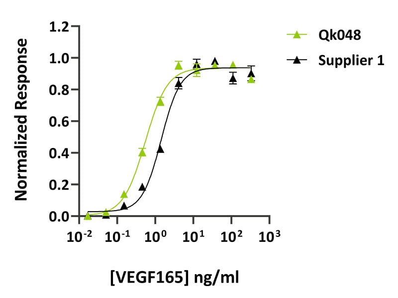 QK048 - Recombinant human VEGF 165 protein