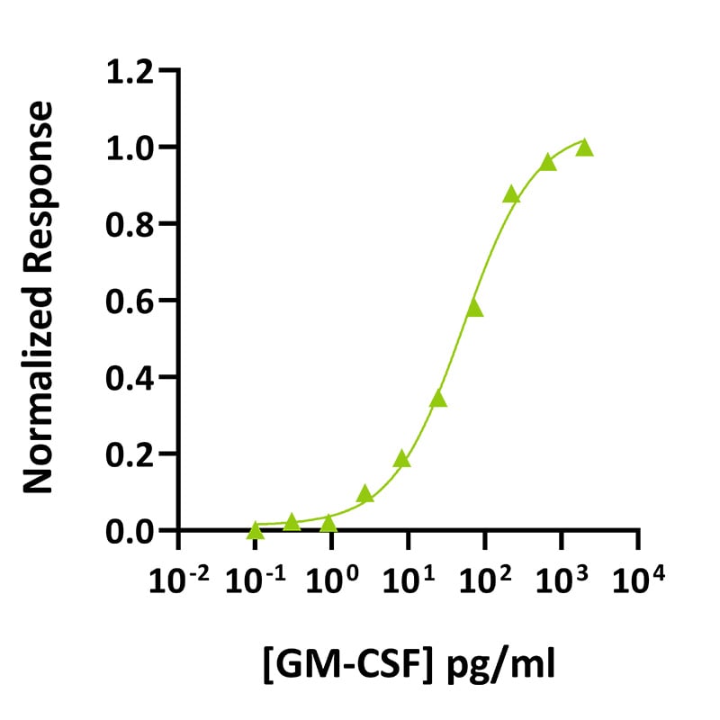 QK076 - Recombinant human GM-CSF protein