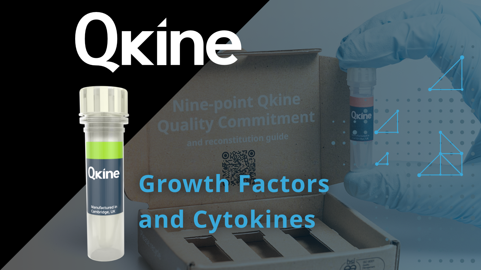 Qkineʼs Animal-Free Growth Factors and Cytokines are ideal for Stem ...