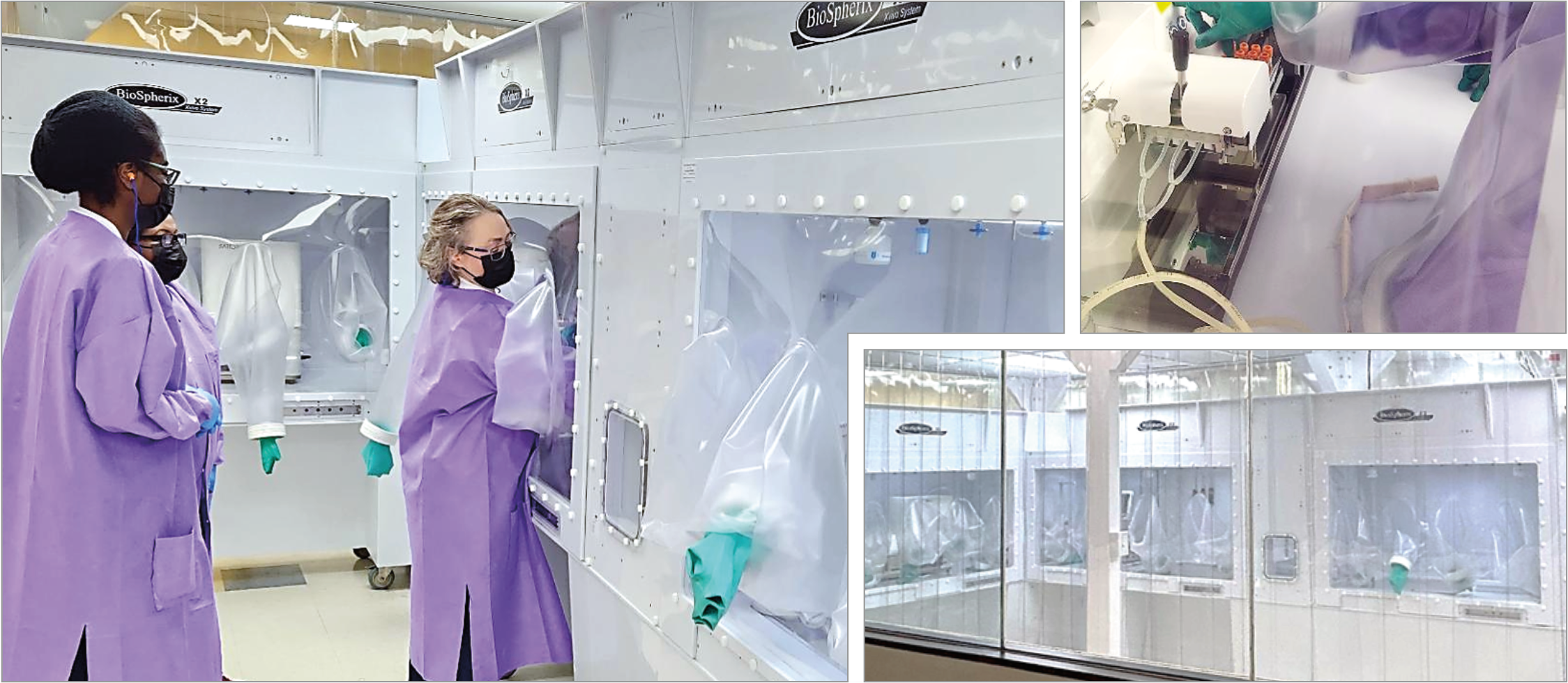 GMP Master Cell Bank (MCB) iPSC and iMSC Manufacturing Service