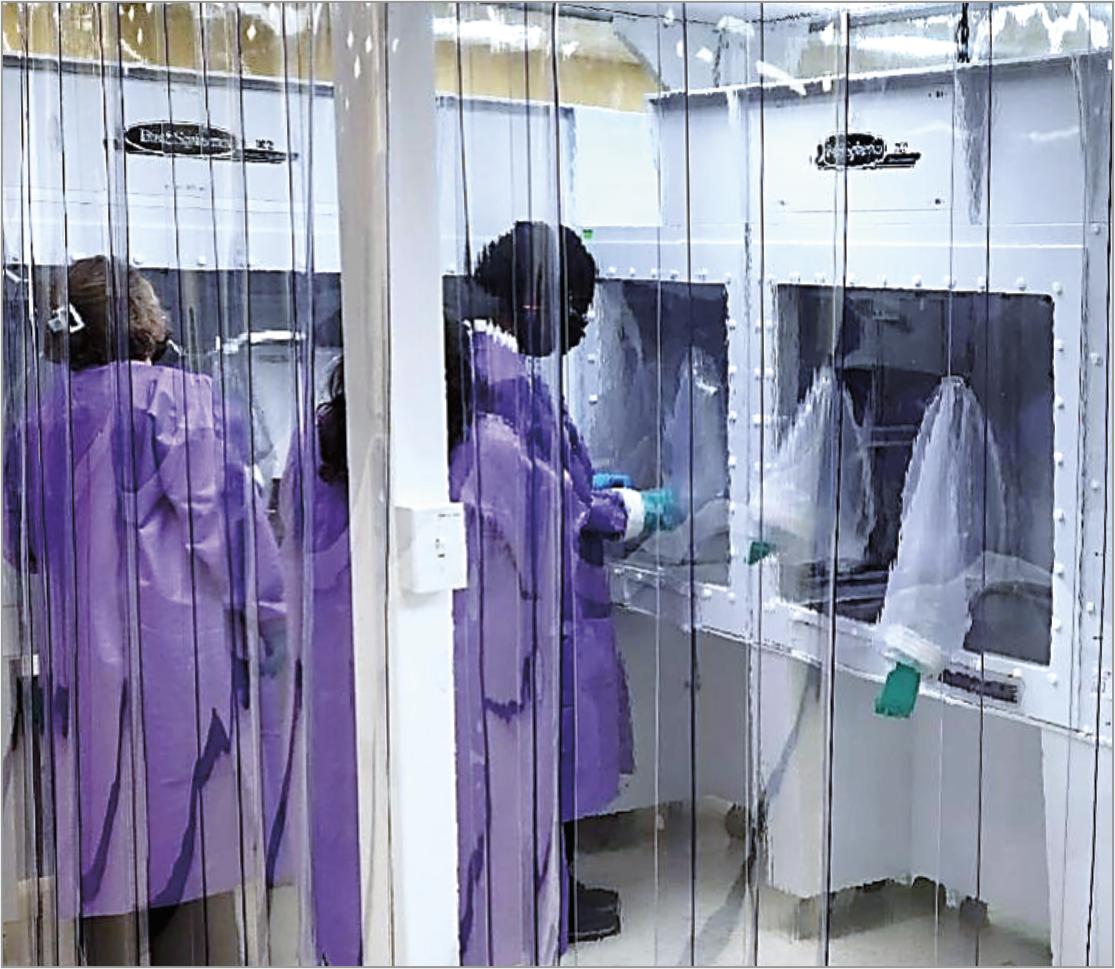 GMP Master Cell Bank (MCB) iPSC and iMSC Manufacturing Service