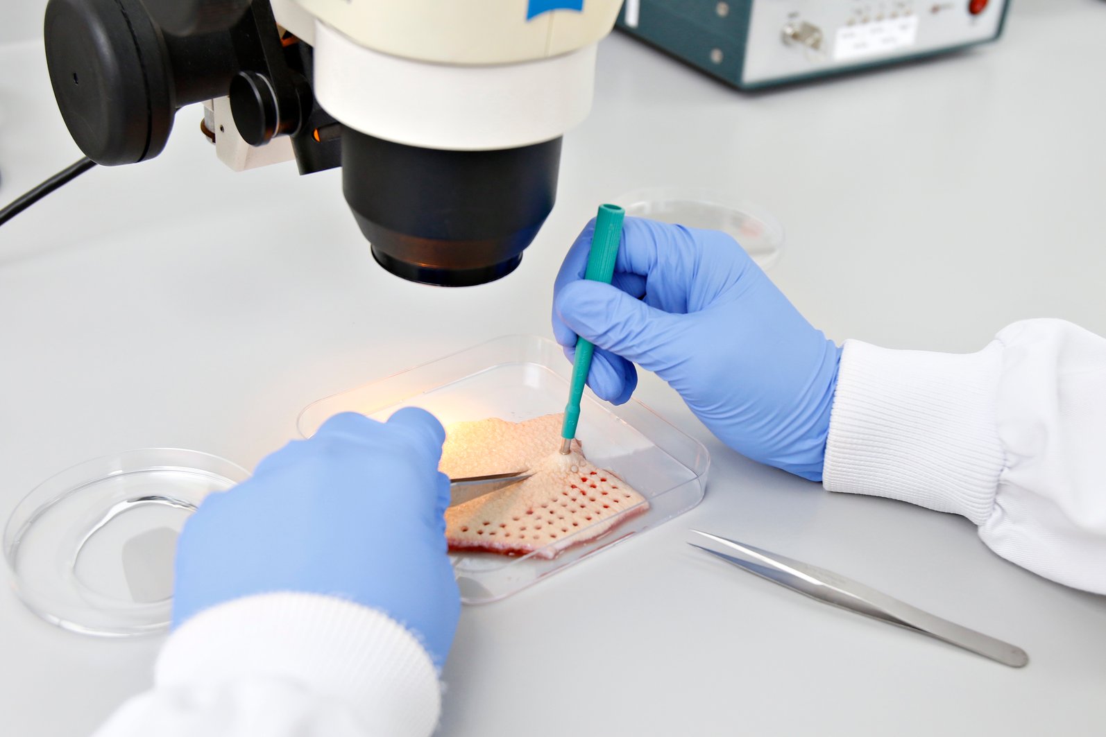 What you should know about the FDA’s Biological License Application Process