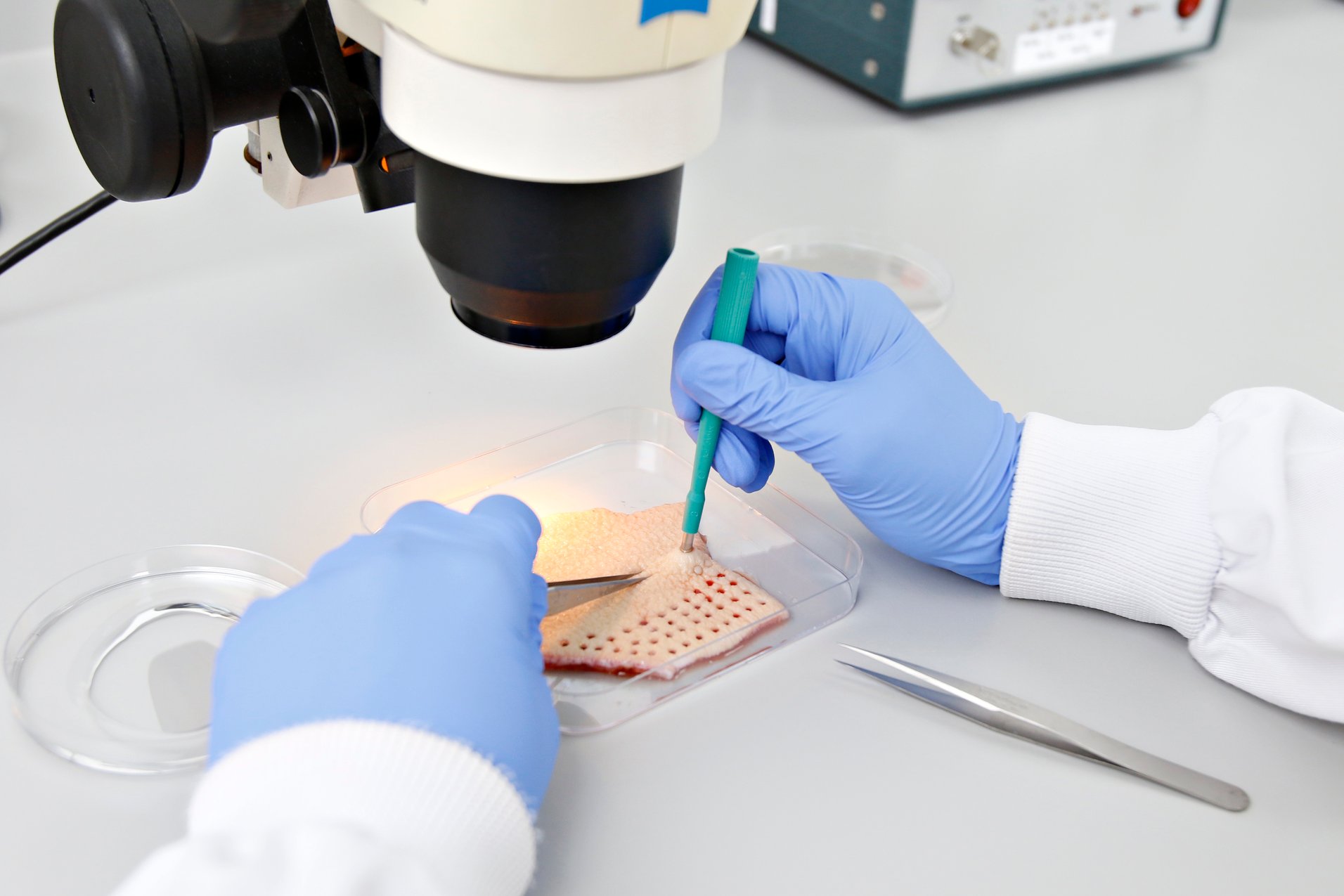 What you should know about the FDA’s Biological License Application Process