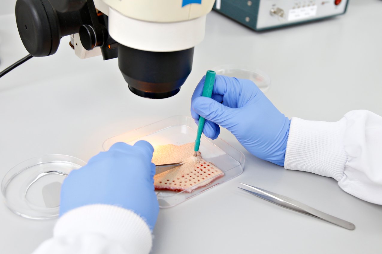 What you should know about the FDA’s Biological License Application Process