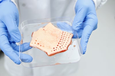 Skin biopsy and ex vivo culture methods
