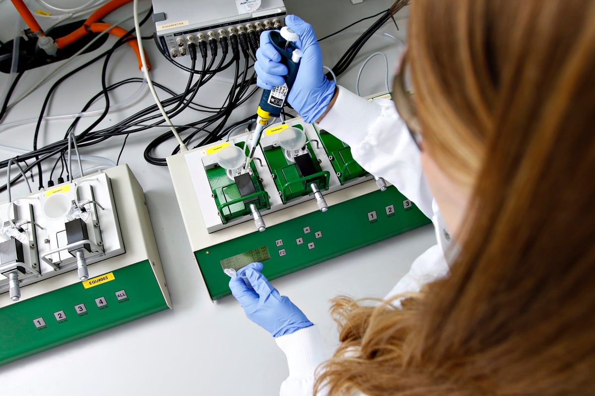 What is Human Tissue Testing?