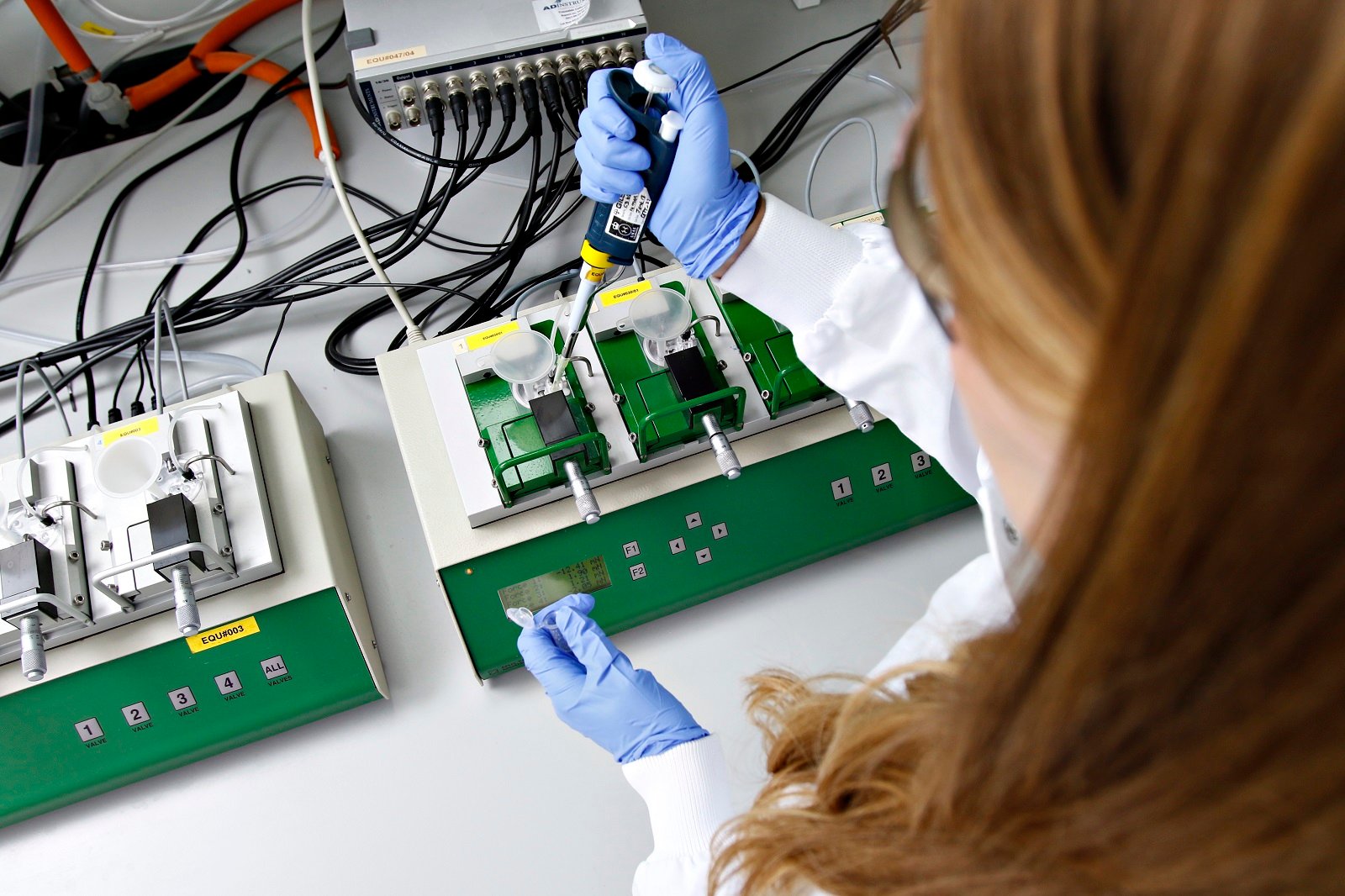 What is Human Tissue Testing?