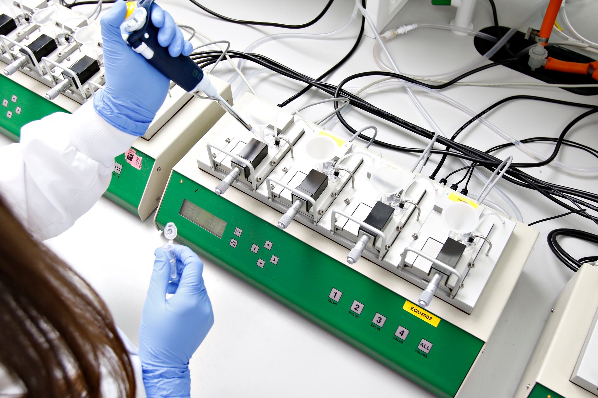 What are PBMCs? Everything you need to know about Peripheral Blood ...