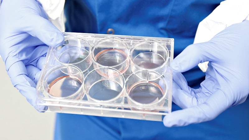 Stemgent: Clinical-grade and Research-grade iPSCs For Your Therapeutic ...