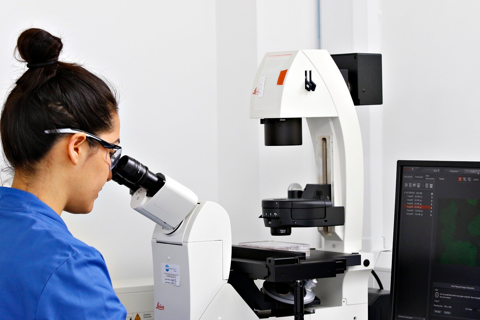 What is Human Tissue Testing?