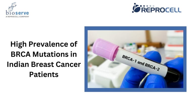 00-0076 - StemRNA™ 3rd Gen Reprogramming Kit