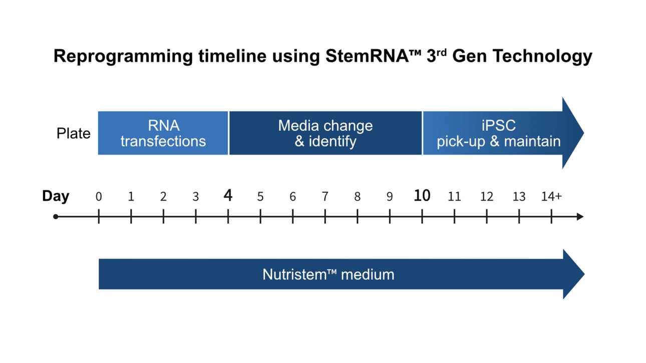 Why mRNA Reprogramming Is the Key to Safer and Faster iPSC Generation?