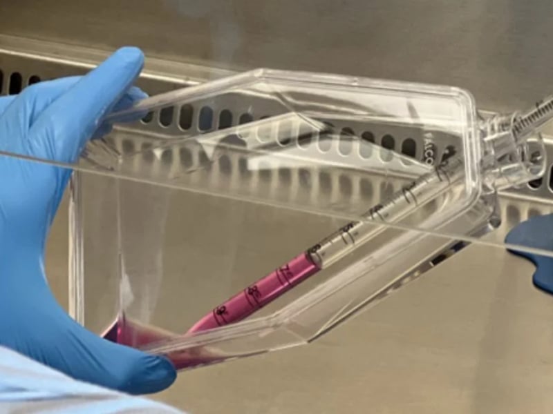 Skin biopsy and ex vivo culture methods