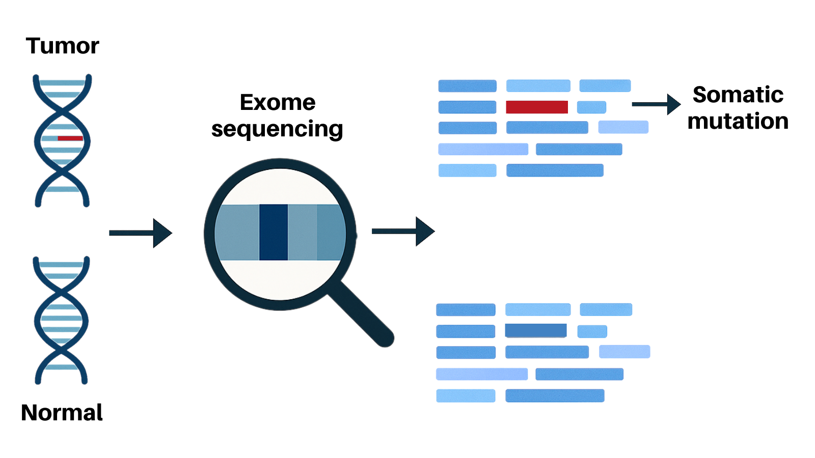 NeoSight – Neoantigen Detection Service
