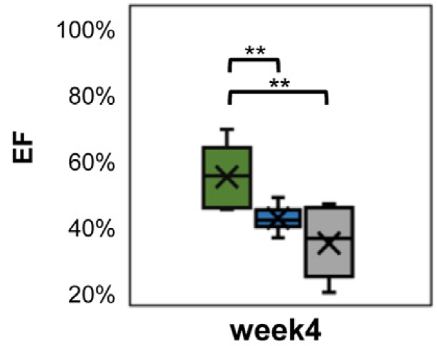 Able Biott Single-use Bioreactors Enhance the Development of Disease ...