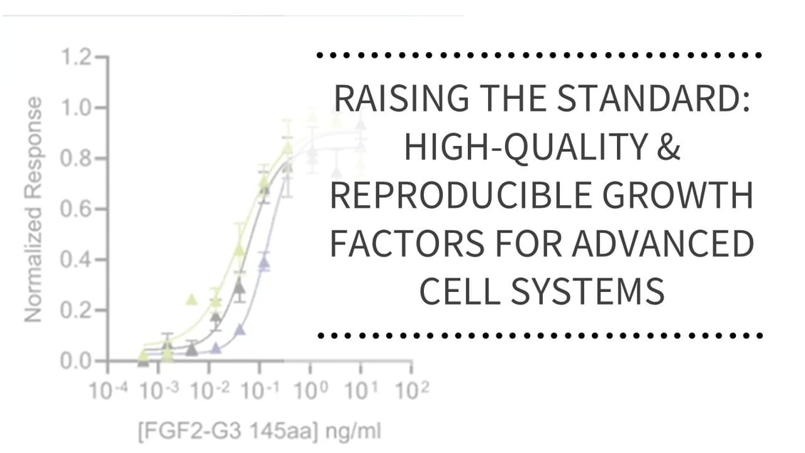 Bioengineered 3D Human Skin Models & Cell Culture Solutions